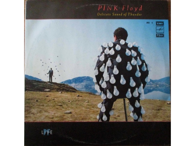 Pink Floyd-Delicate Sound Of Thunder N.1USSR Repress LP