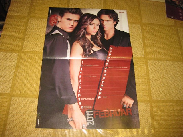 Poster (dvostrani) The Vampire Diares, Hannah Montana