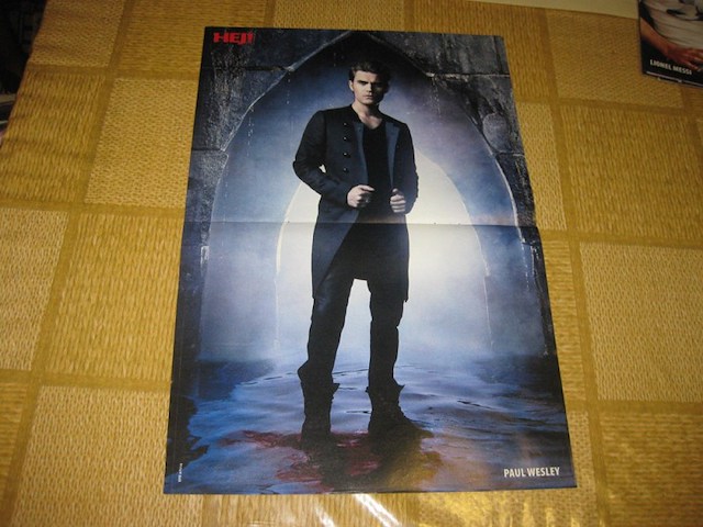 Poster (dvostrani) Paul Wesley, Demi Lovato, The Vamps