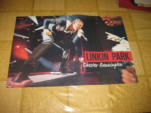 Poster (dvostrani) Linkin Park, Ross Lynch