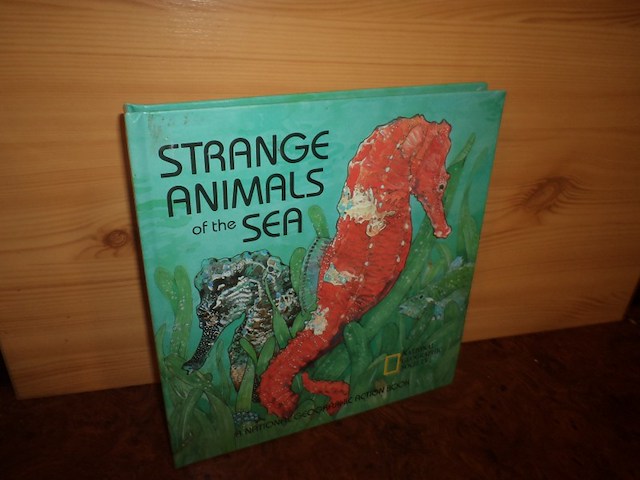 Strange Animals of the Sea