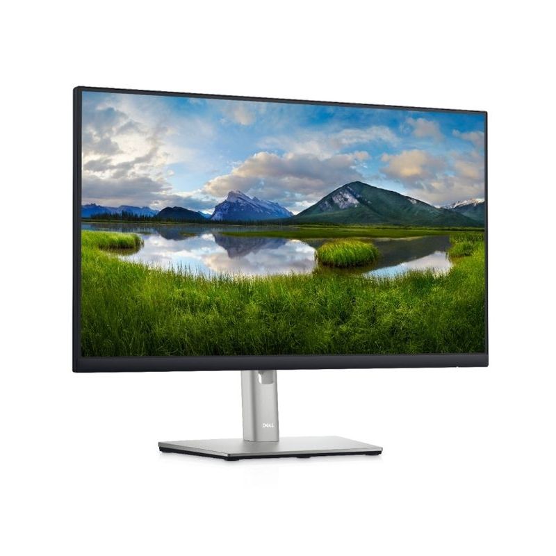 Dell 23.8″ P2422HE USB-C Profesional IPS monitor