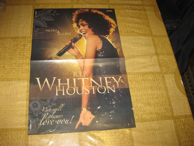 Poster (dvostrani) Whitney Houston, Green Day