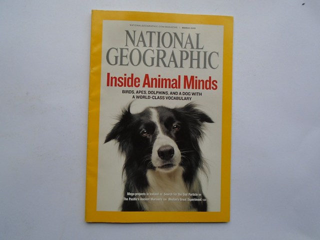 National geographic ENG mart 2008. Um životinja