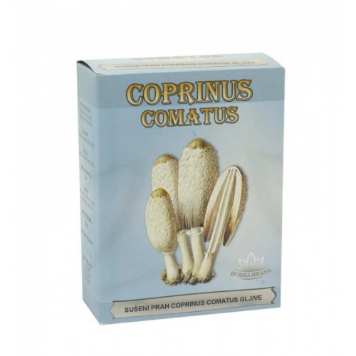 COPRINUS COMATUS - medicinska gljiva za dijabetes, zatvor, hemoroide, nastanka kardiovaskularnih oboljenja i raka(kancera)