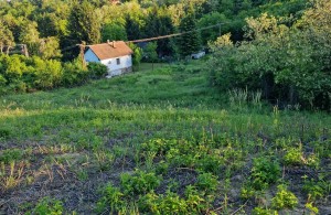 Odličan Plac