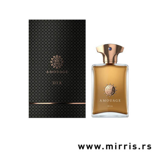 Amouage Dia Man 100ml EDP