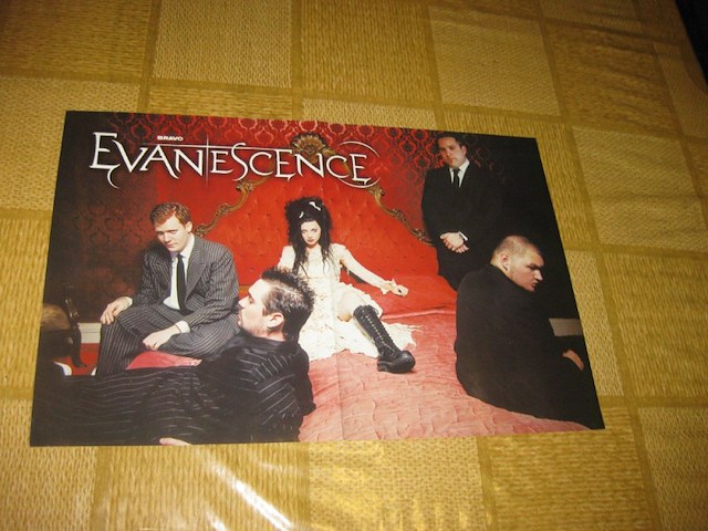 Poster (dvostrani) Evanescence, Green Day