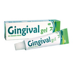 GINGIVAL GEL 15G