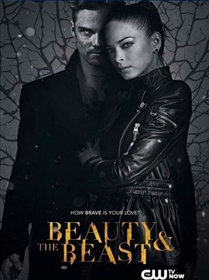 Beauty and the Beast - serija