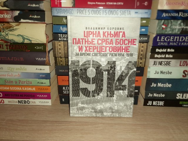 Crna knjiga; Patnje Srba BIH - Vladimir Ćorović