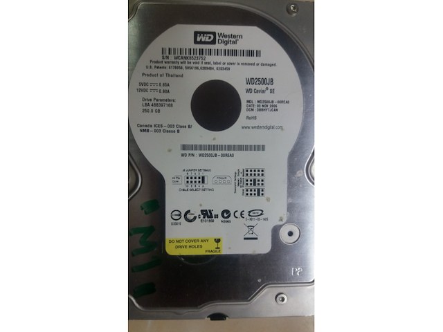 Western Digital  250 gb