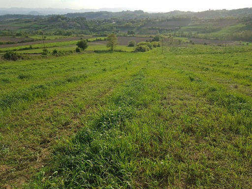 Zemljiste nigde jeftinije-Gornja Badanja