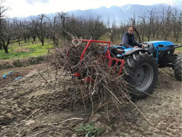 Sakupljac granja posle rezidbe