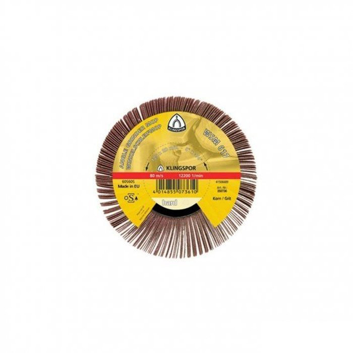 Lepezasti Brusni Kolutovi LS309X 125x20mm GR60 M14 277019