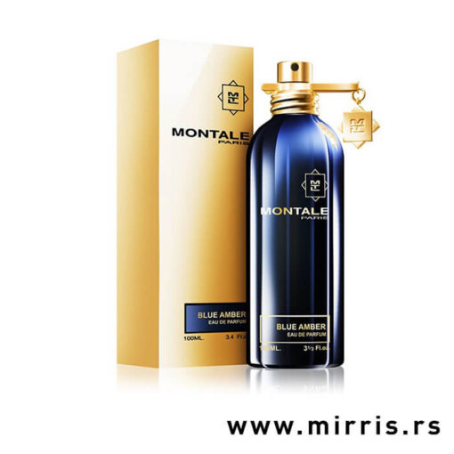 Montale Blue Amber 100ml EDP