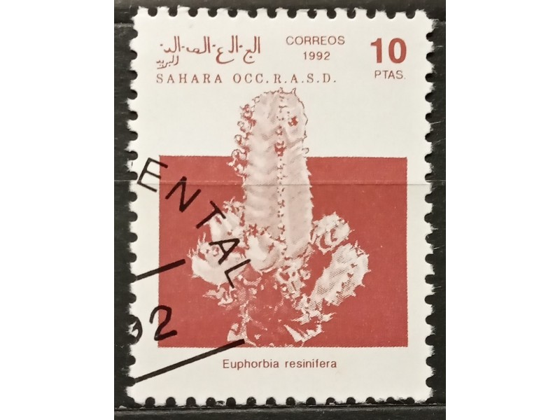 SAHARA OCC 1992 - BILJKE SAHARE * (ilegalna štampa)