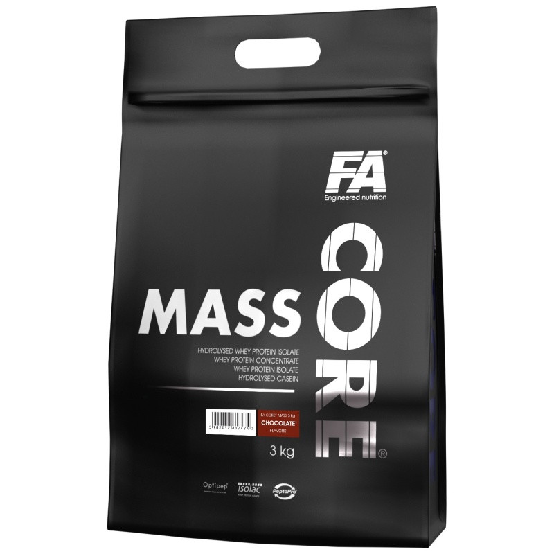 Core Mass 3Kg