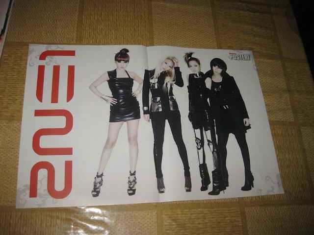 Poster (dvostrani) 2NE1, Burak Ozcivit