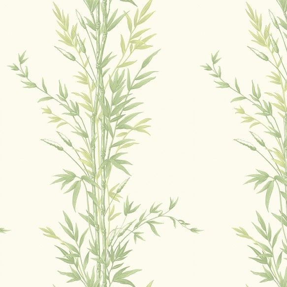 Bamboo Wallpaper 100/5023 by Cole & Son