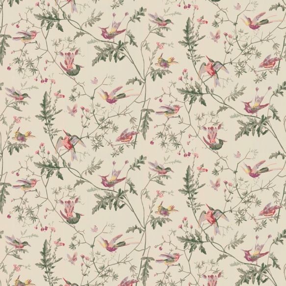 Hummingbirds Wallpaper 100/14071 by Cole & Son