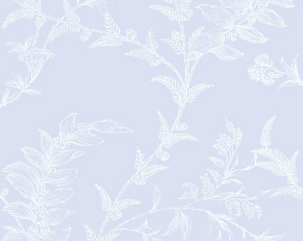 Ludlow Wallpaper 88/1002 by Cole & Son