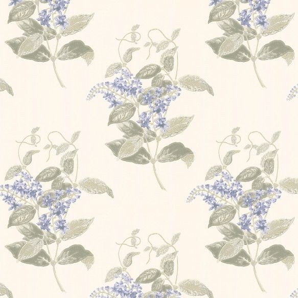 Madras Violet Wallpaper 100/12057 by Cole & Son