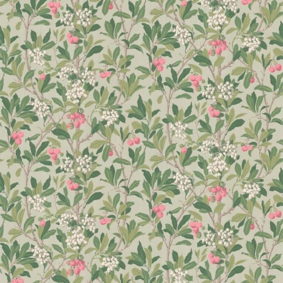 Strawberry Tree Wallpaper 100/10048 by Cole & Son
