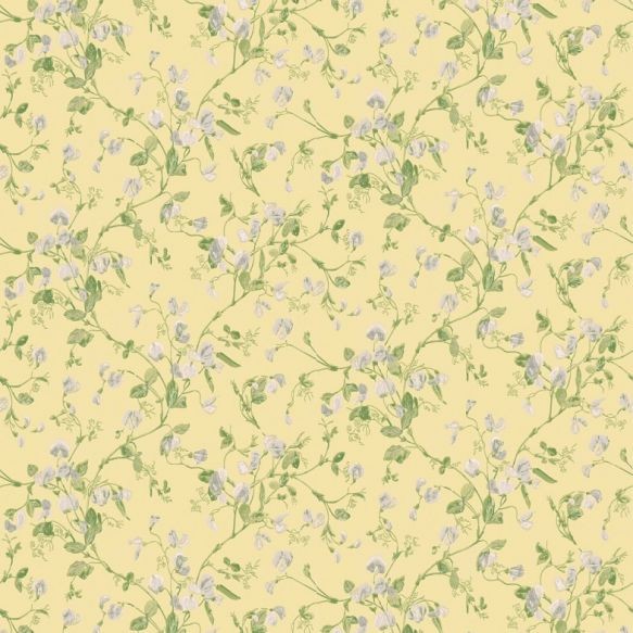 Sweet Pea Wallpaper 100/6029 by Cole & Son