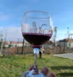 Domace vino