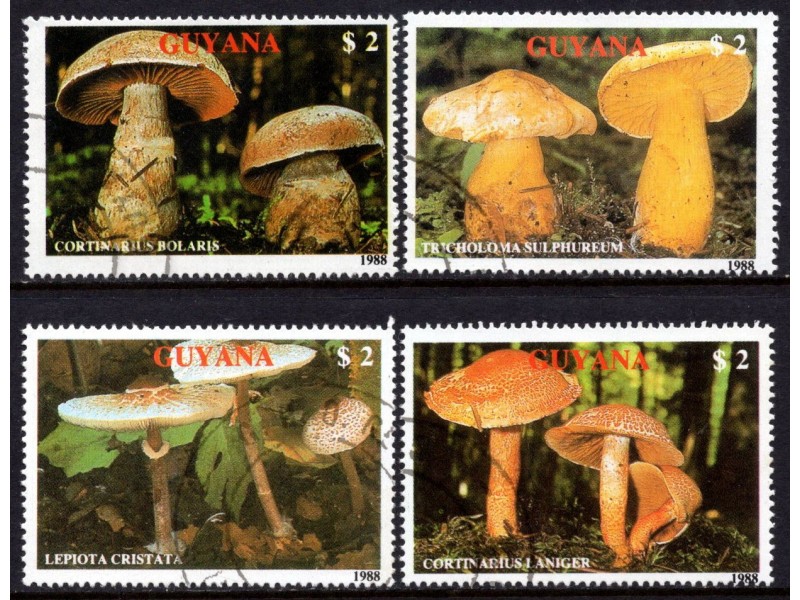 Guyana 1989. Komplet serija, Flora