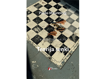 Teorija senki