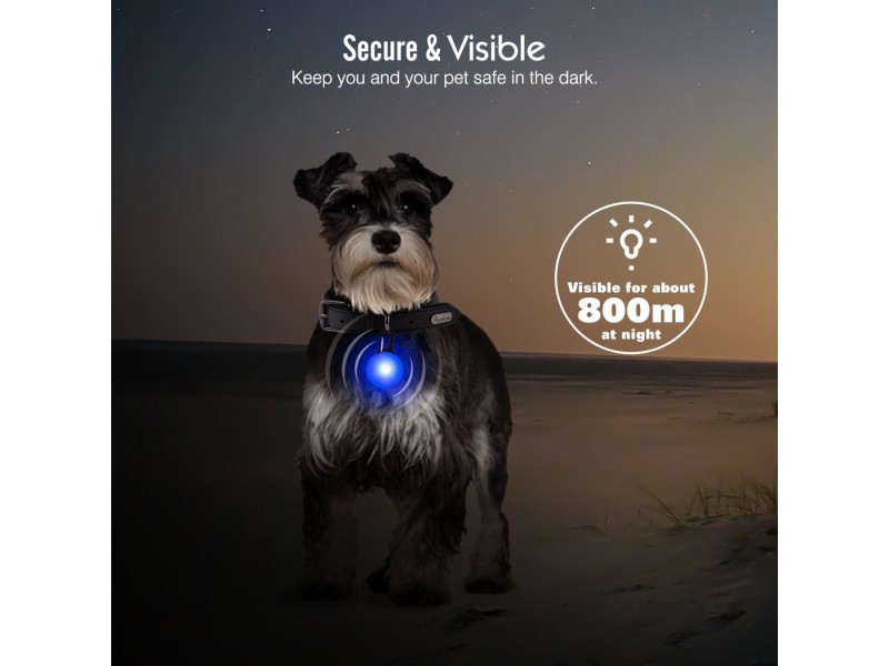 Svetleća led lampa za ogrlicu za pse (i ljude)