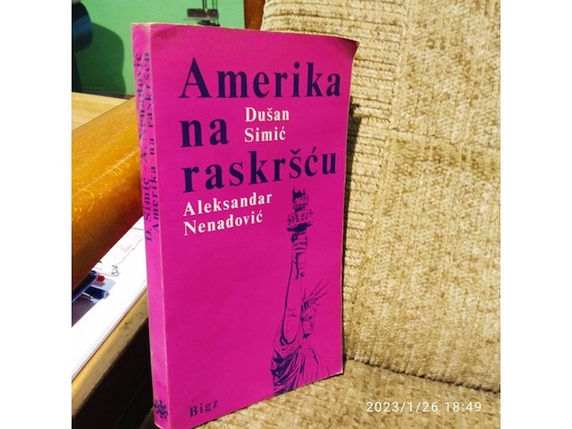 Amerika na raskršću, Dušan Simić i Aleksandar Nenadović