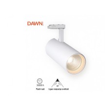 DAWN LED reflektor šInski JM-4069 20W 4000K trofazni beli