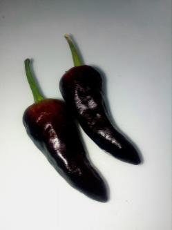 Black Mamba Chilli