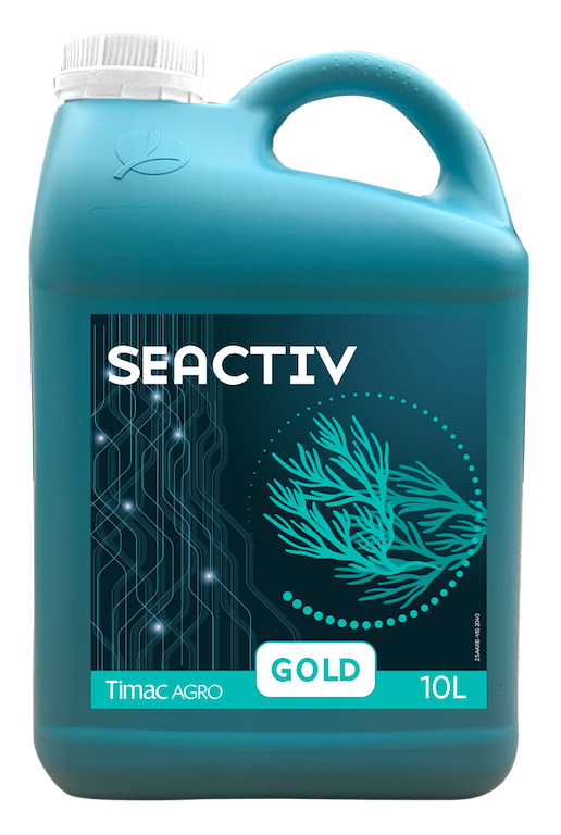 SEACTIV GOLD