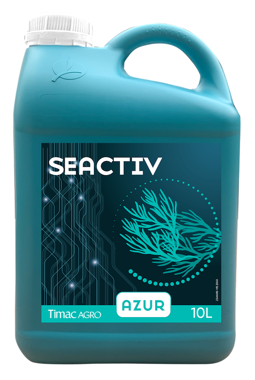 SEACTIV AZUR