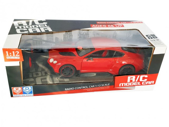 MODERN R/C CAR.800-1