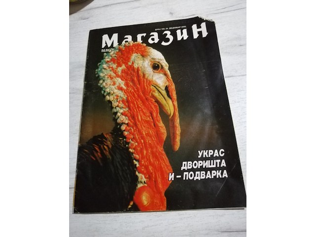 Politika Magazin br.169