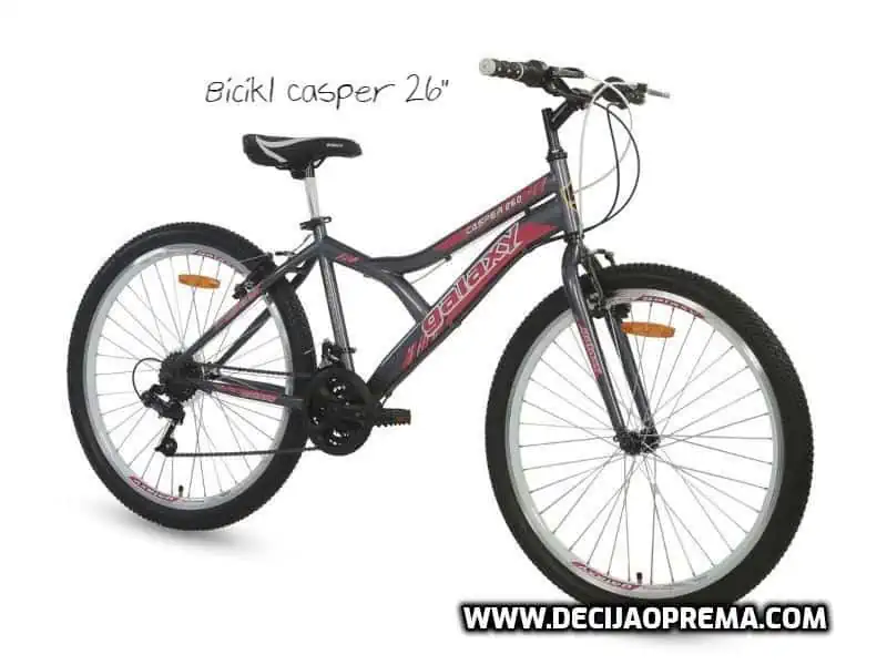 Bicikl Galaxy Casper 260 26″/18 za decu Siva