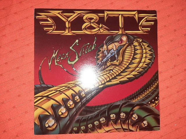 Y AND T - Mean Streak