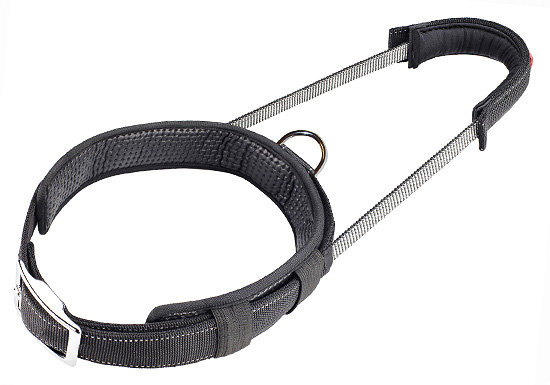 Patento Pet Collar Sport Ogrlica M