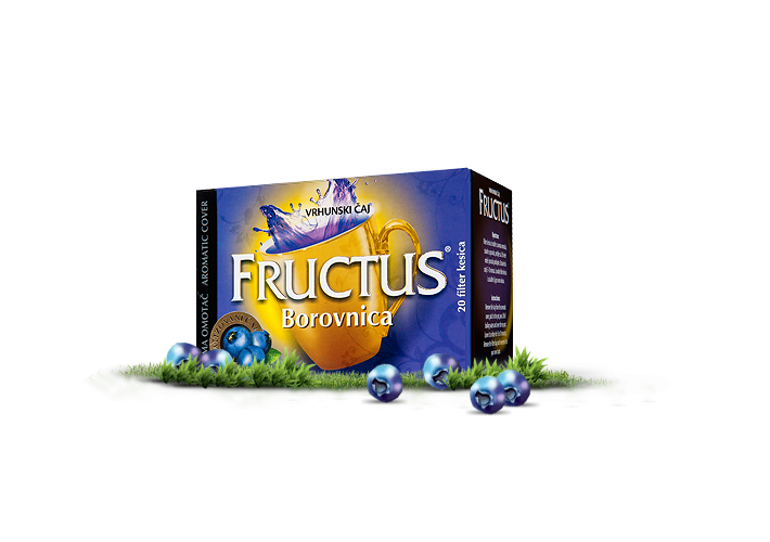 FRUCTUS FILTER ČAJ BOROVNICA 20/1