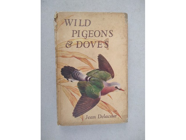 Wild Pigeons and Doves / Jean Théodore Delacour