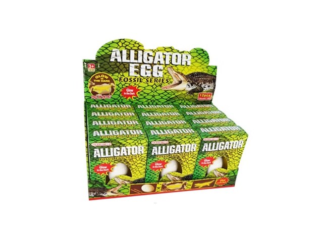 Aligator jaje