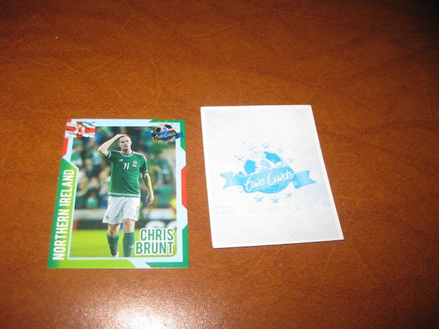 Euro cards  2016 - Chris Brunt (Northern Ireland)