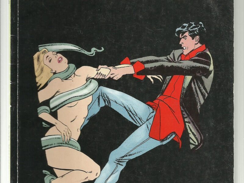 Dylan Dog SD 26 Beskrajna noć