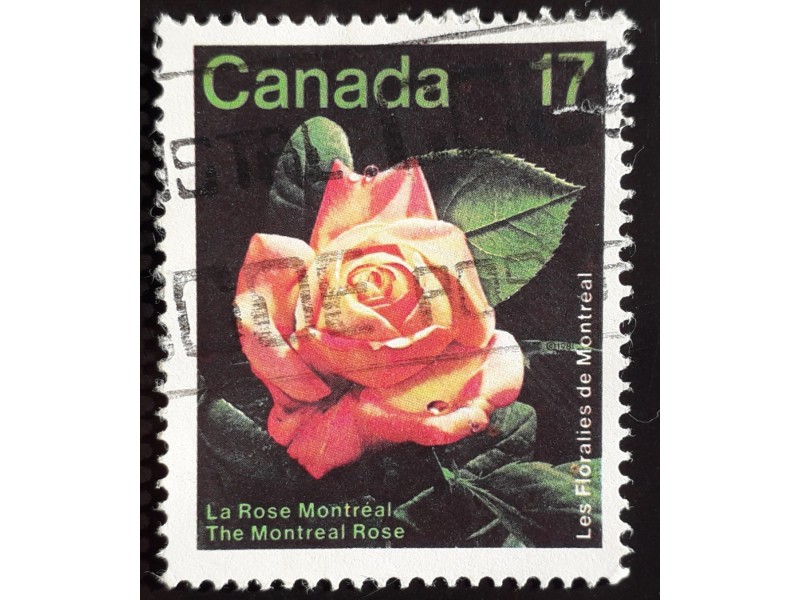 Canada - flora