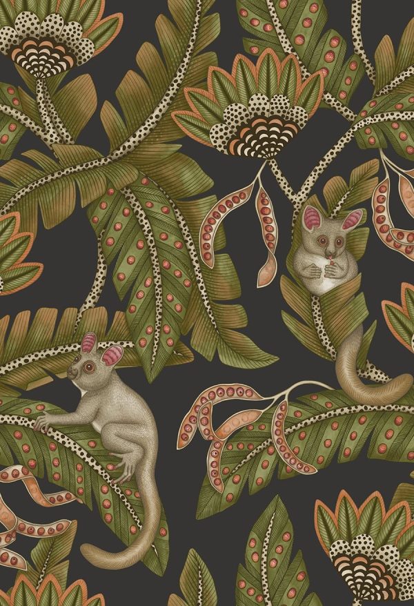 Bush Baby Wallpaper 119/7031 by Cole & Son